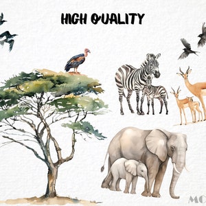 Watercolor Safari Animals Clipart 40 Png, Boho Style, African Savana ...