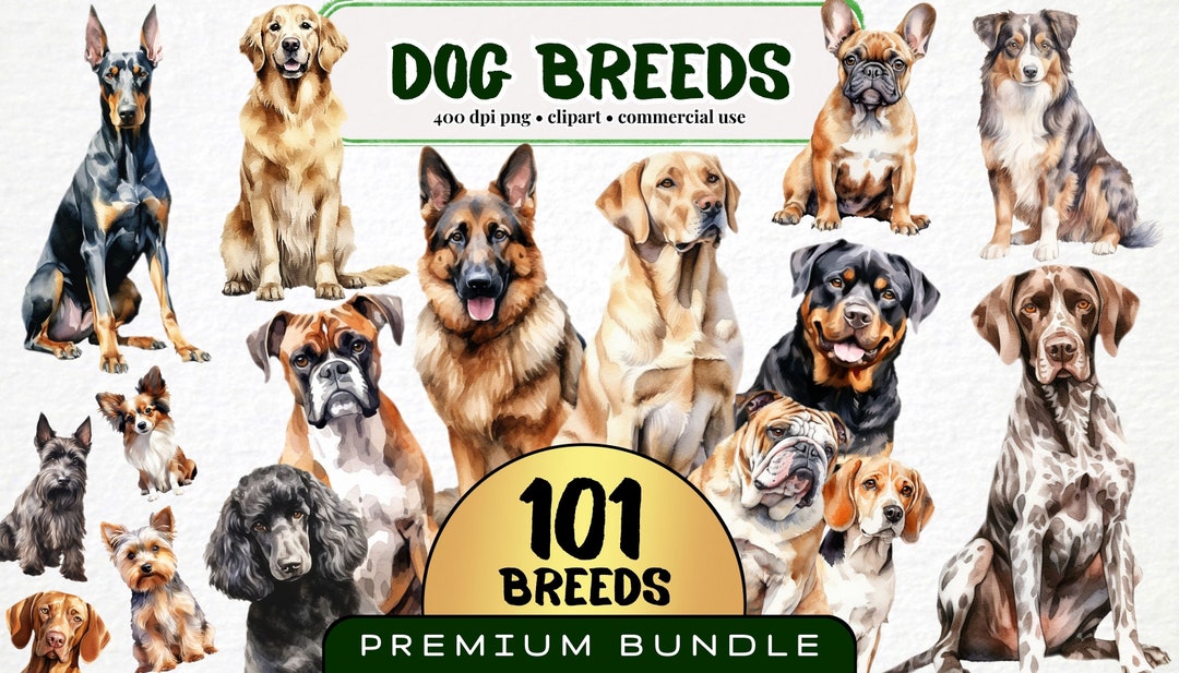 Dog Breed Clipart Bundle, Set of 101, Watercolor Dog Png, Popular Dog ...