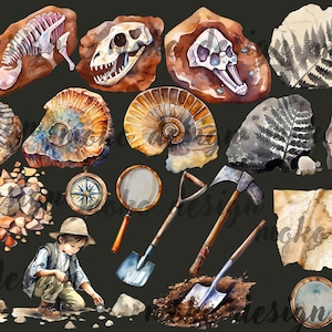 Watercolor Fossils Clip Art Archeology - Paleontology Dinosaur ...