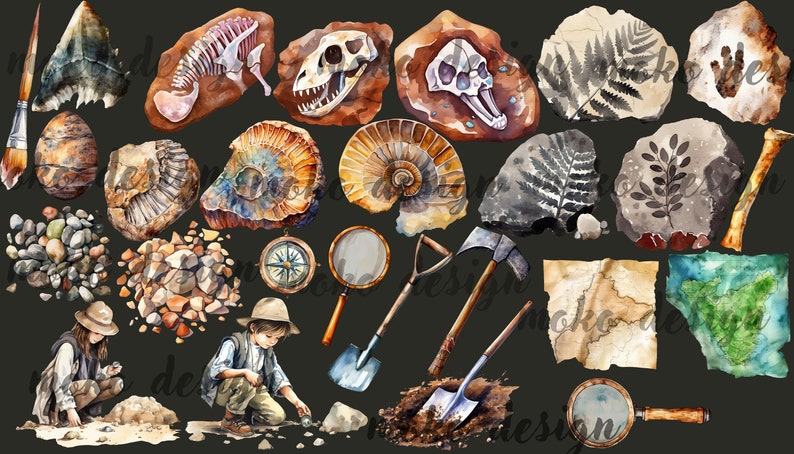 Watercolor Fossils Clip Art Archeology Paleontology Dinosaur - Etsy