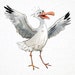 Funny Seagulls Clipart 20 Png, Goofy Seagull Birds, Silly Gulls ...
