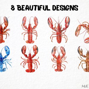 Watercolor Lobster Clipart 8 Png, Marine Life Art, Sea Food ...