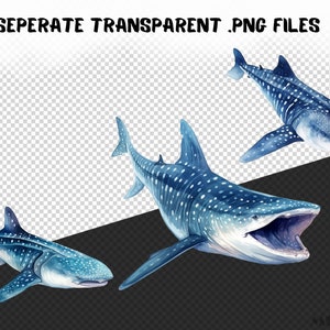 Watercolor Whale Shark Clipart 11 Png, Big Ocean Animals, Marine Life ...
