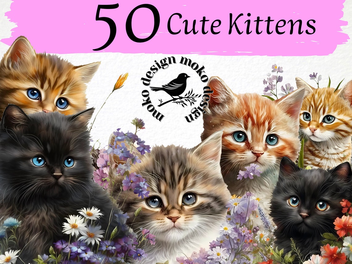 50 Cat Png Cat Clipart Kitten Clipart Watercolor Cute Cat - Etsy