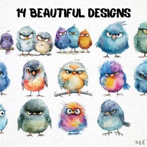 Grumpy Birds Clipart 14 Png, Cute Caricature Birds, Funny Animal ...