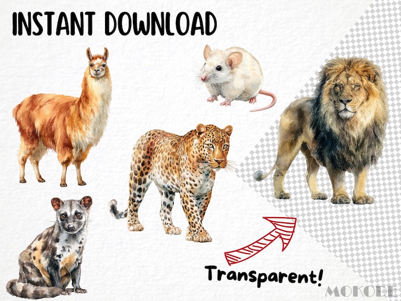 Watercolor Mammals Clipart 105 Png, Zoo Animals, Educational Africa ...