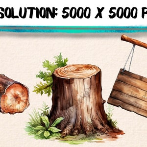 Watercolor Twigs & Logs Clipart Bundle, Set of 21, Wood Borders, Stick ...