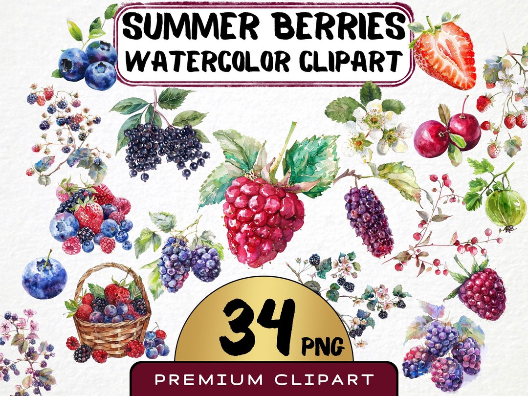 Watercolor Berries Clipart 34 Png, Summer Fruit Collection, Berry-mix ...
