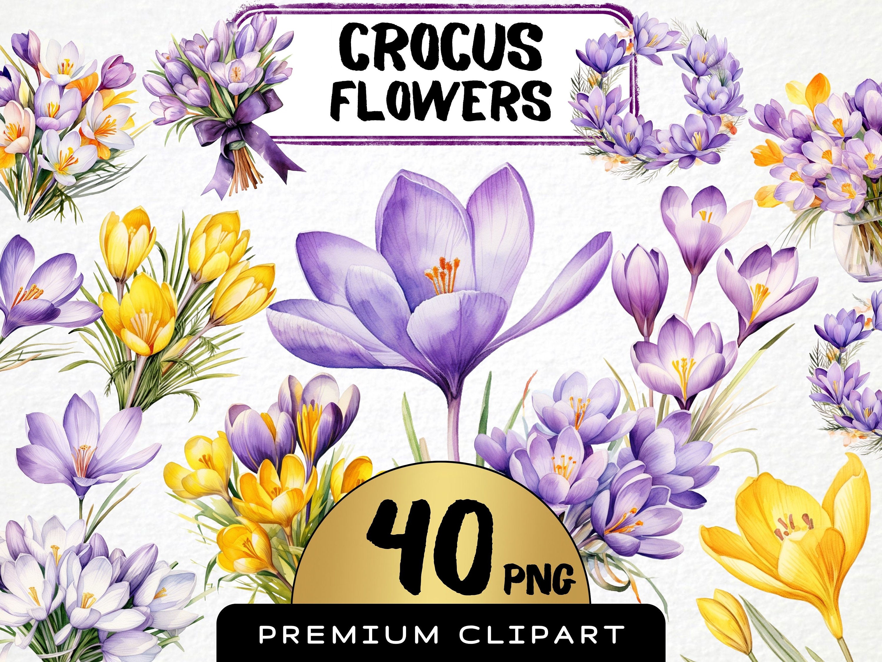 Crocus Flower Clipart, Set of 40, Watercolor Crocus Art, Flower Bouquet ...