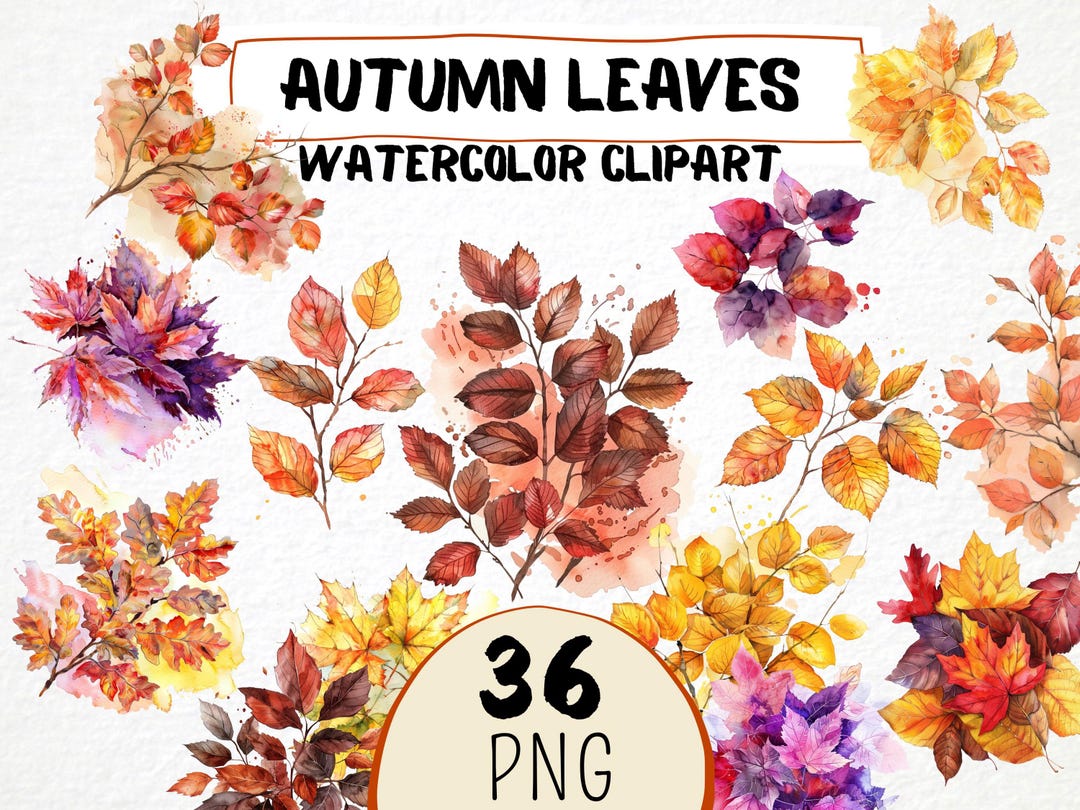 Watercolor Autumn Leaves Clipart 36 Png, Fall Leaves Season Graphics ...