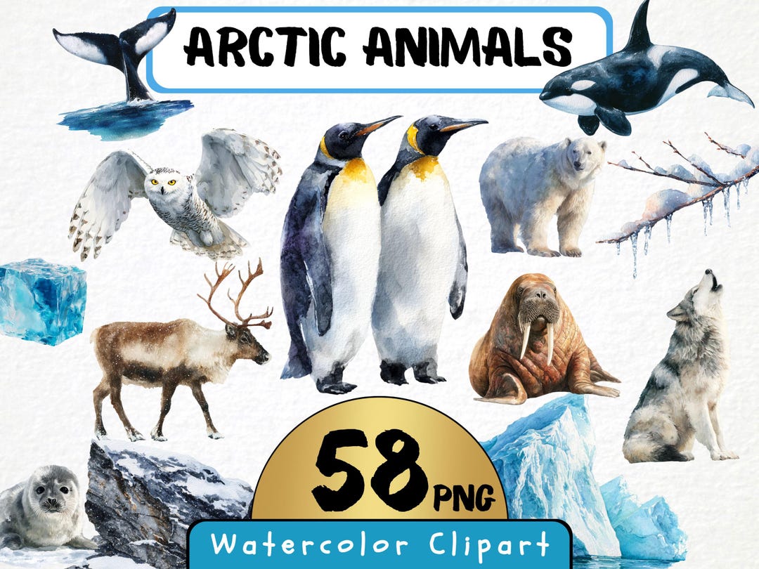 Arctic Animals Clipart 58 PNG, Watercolor Polar Animals, Penguin Whale ...