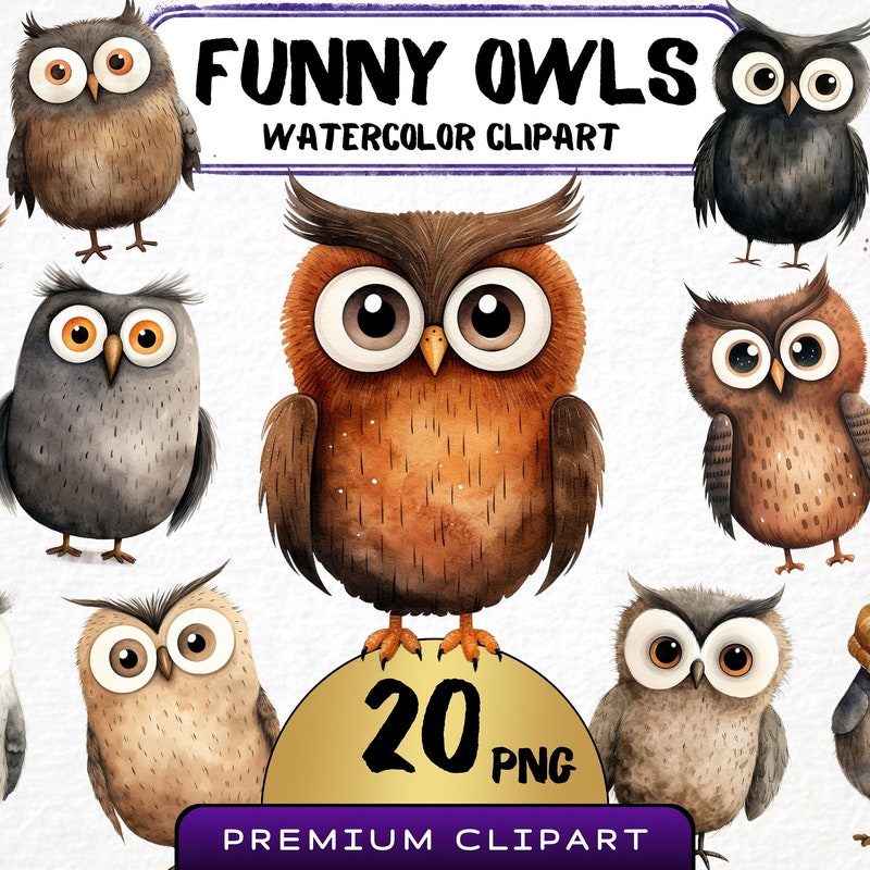 Cute Owls Clipart - Etsy