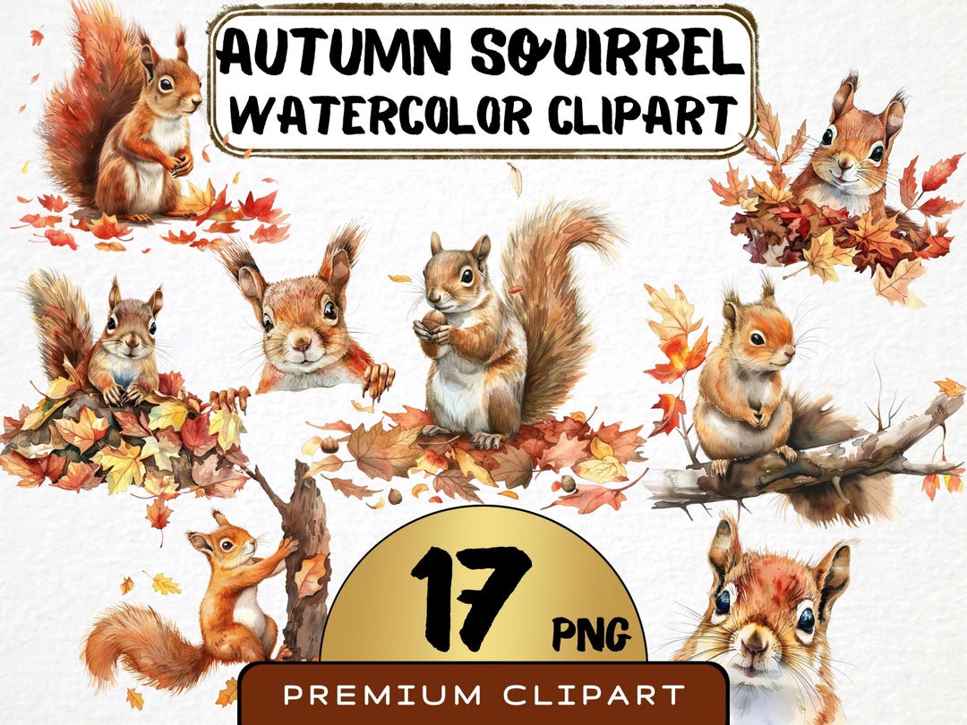 Watercolor Autumn Squirrel Clipart 17 Png, Fall Season Woodland Animals ...