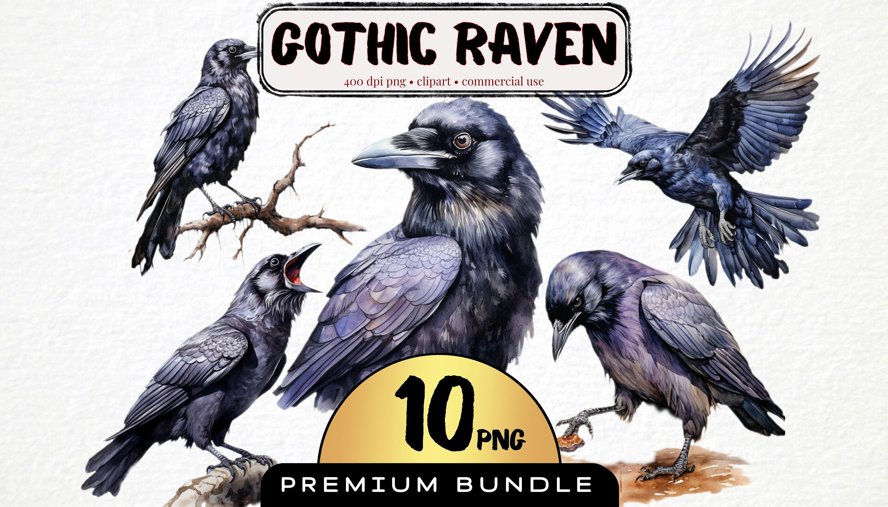 Watercolor Crow Bird Clipart Set of 10 Halloween Raven - Etsy