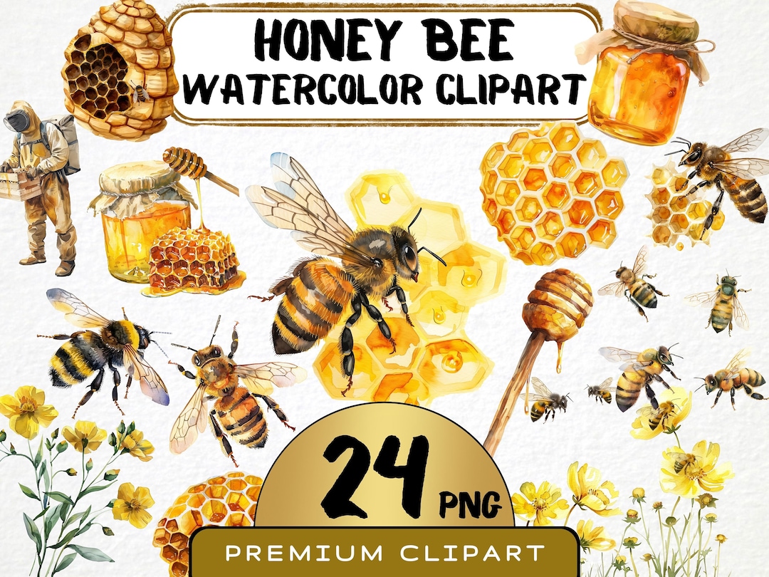 Watercolor Honey Bee Clipart 24 Png, Honeycomb Illustration, Summer Bee ...