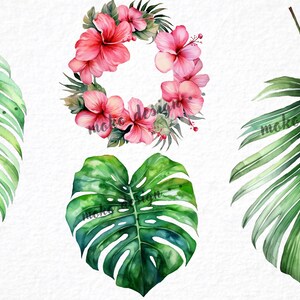 Watercolor Pink Seashells Clip Art Ocean Life Starfish Beach Summer ...