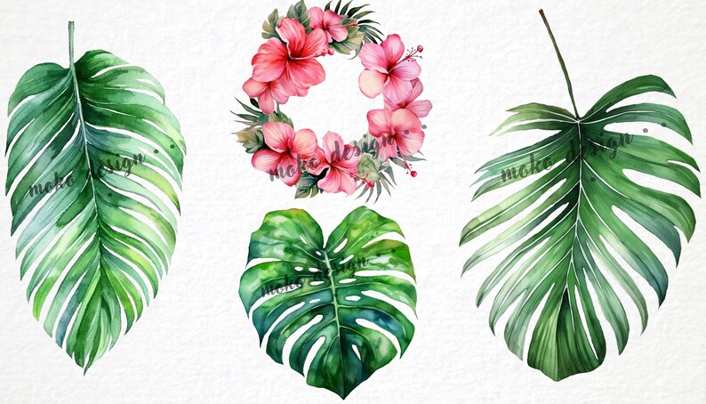 Watercolor Pink Seashells Clip Art Ocean Life Starfish Beach - Etsy