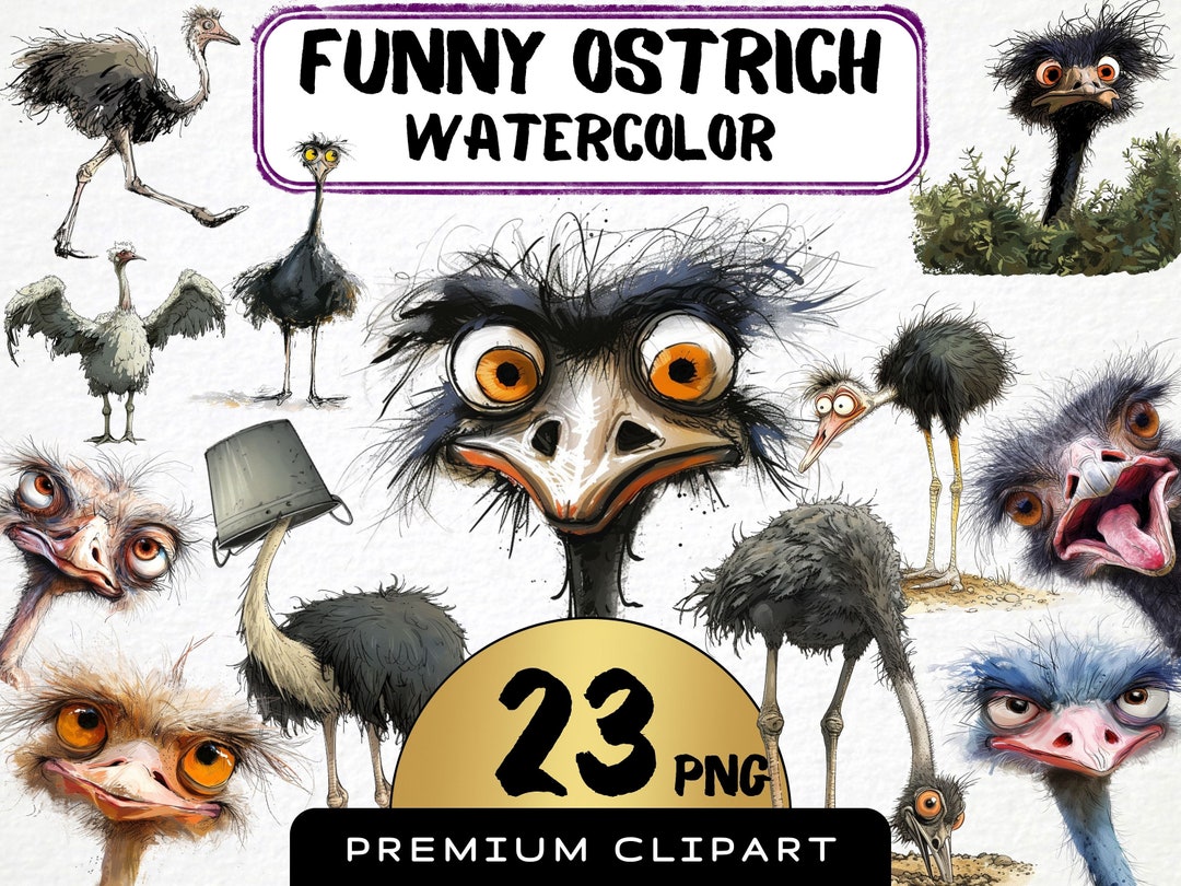 Funny Ostrich Birds Clipart 23 Png, Cute Caricature Emu, Quirky Ostrich ...