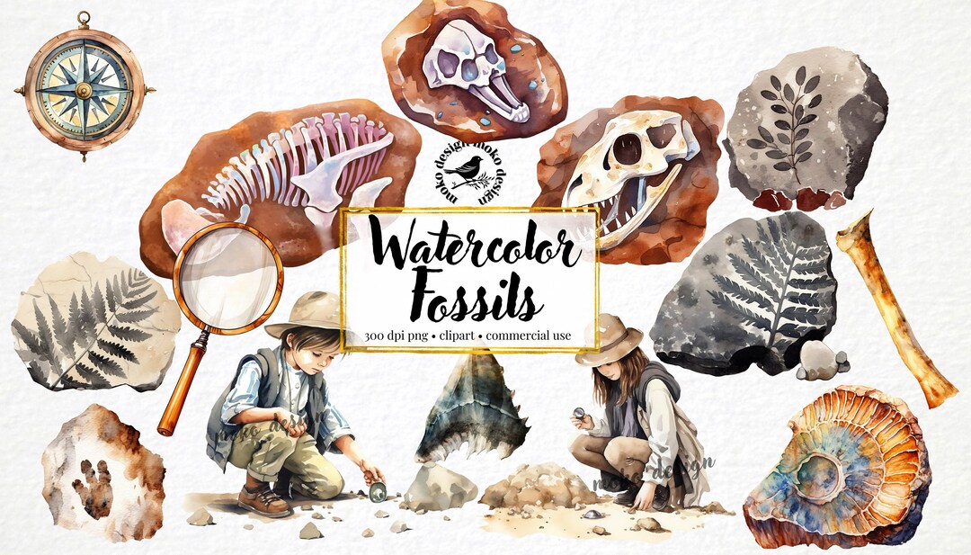 Watercolor Fossils Clip Art Archeology - Paleontology Dinosaur ...