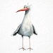 Funny Seagull Watercolor Clipart, Goofy Birds, Silly Gulls (digital ...