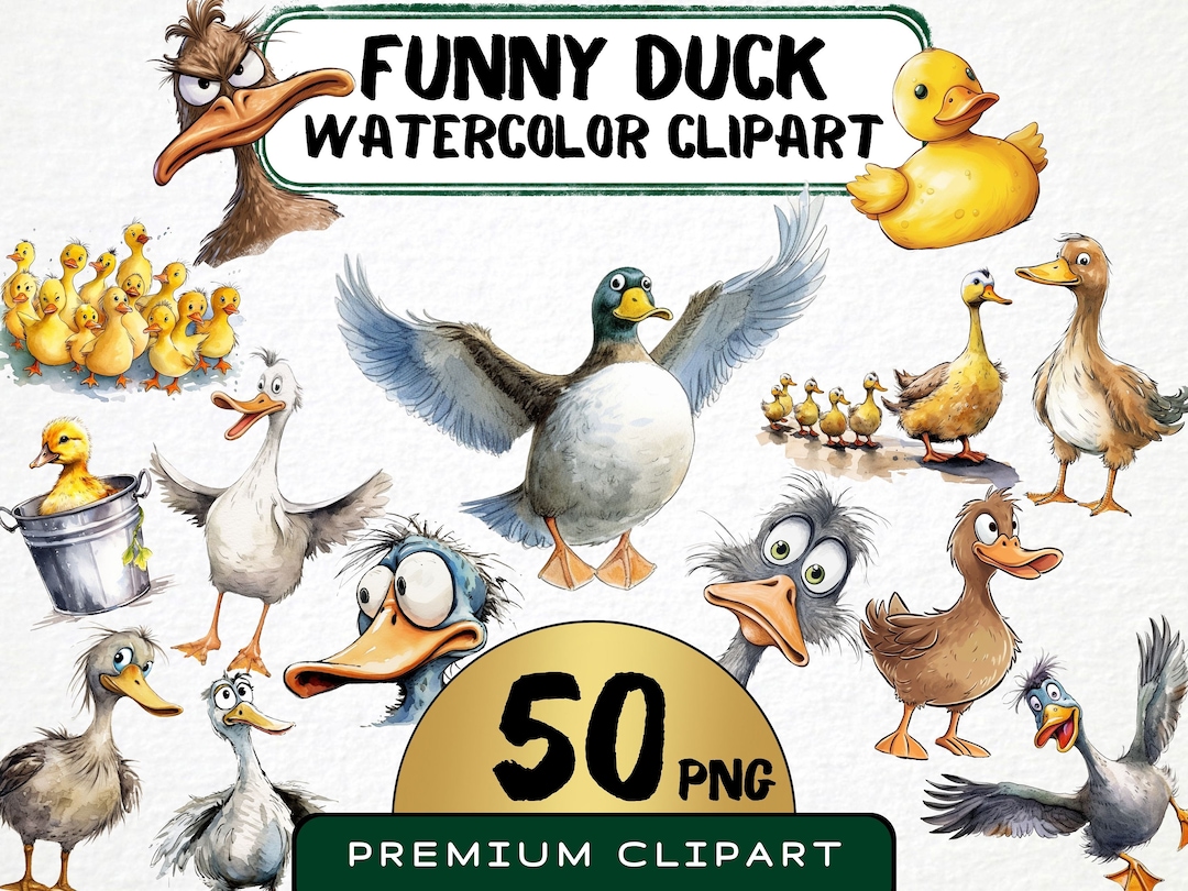 Funny Duck Clipart 50 Png, Cute Caricature Birds, Quirky Ducklings ...