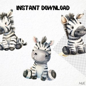 Watercolor Plush Zebra Clipart 10 Png, Cute Stuffed Animal, Nursery ...