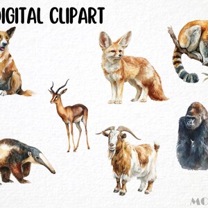 Watercolor Mammals Clipart 105 Png, Zoo Animals, Educational Africa ...