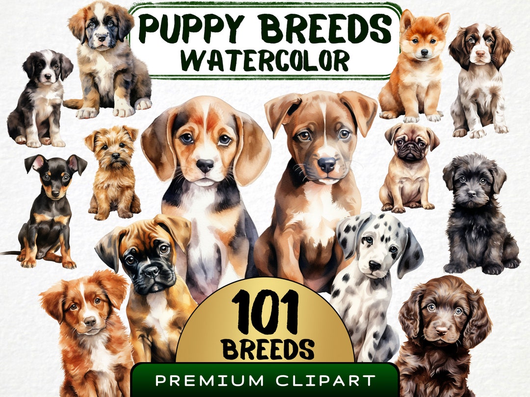 Puppy Breed Clipart Bundle 101 Png, Watercolor Baby Dog, Popular Pet ...