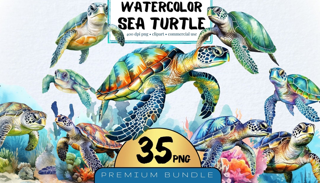 Watercolor Sea Turtle Clipart, Set of 35, Watercolor Nautical Ocean ...