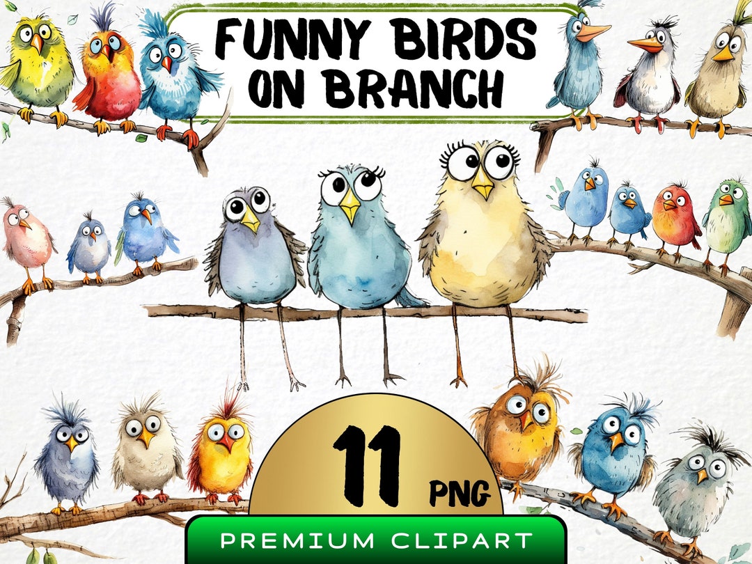 Funny Birds on Branch Clipart 11 Png, Cute Caricature Songbirds, Quirky ...