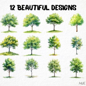 Watercolor Summer Tree Clipart 12 Png, Green Tree Graphics, Garden ...