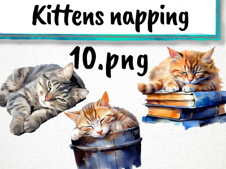 168 Cute Kittens Clip Art Bundle PNG Cat for Commercial Use - Etsy