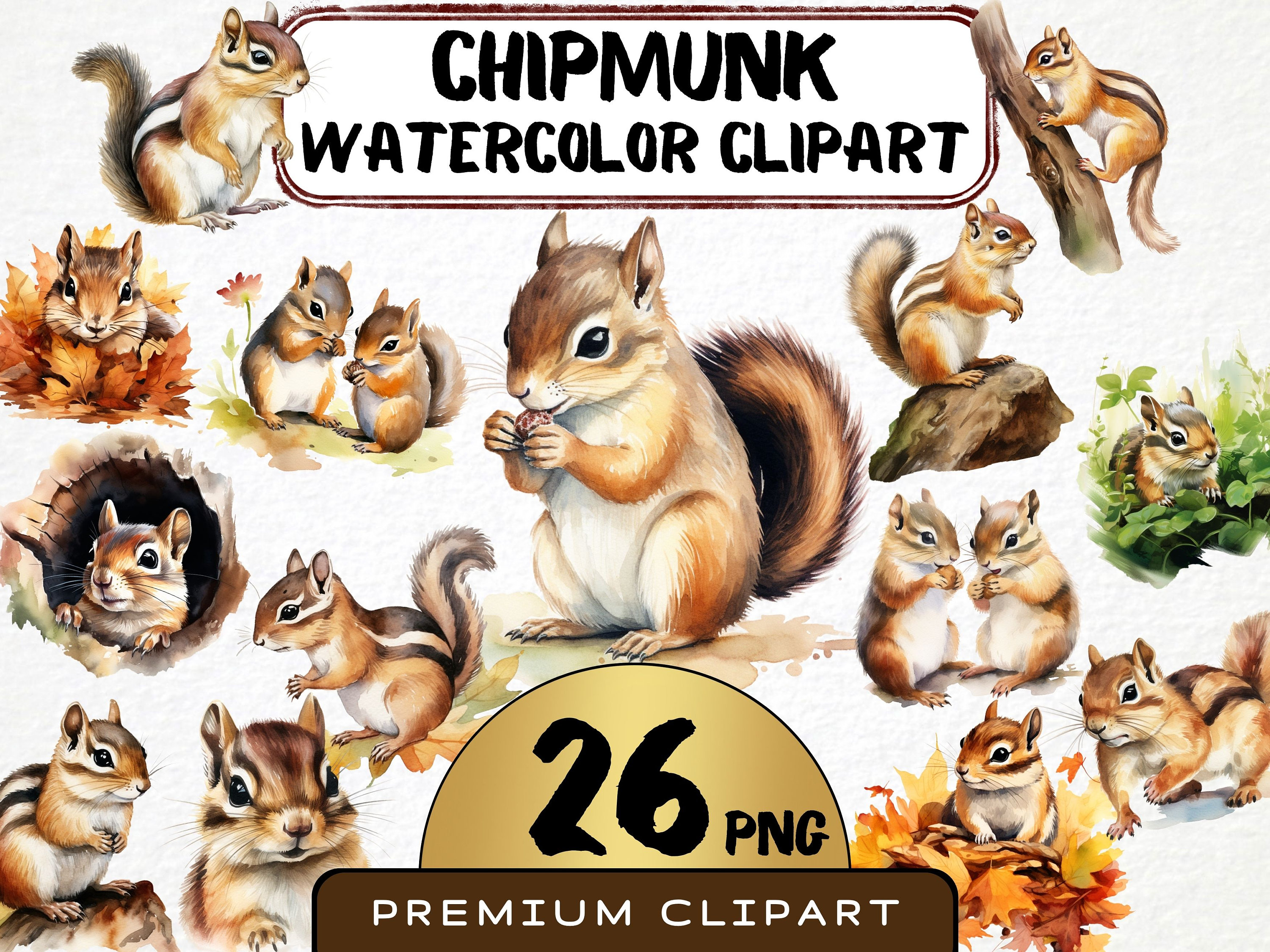 Watercolor Chipmunk Clipart, Autumn Woodland Animals (PNG Digital File ...