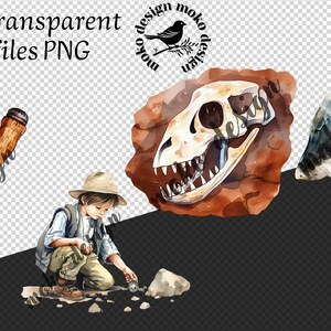 Watercolor Fossils Clip Art Archeology - Paleontology Dinosaur ...