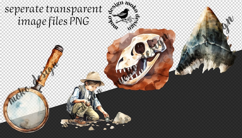 Watercolor Fossils Clip Art Archeology Paleontology Dinosaur - Etsy