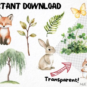 Cute Woodland Clipart 61 Png, Watercolor Forest Animals Nursery ...