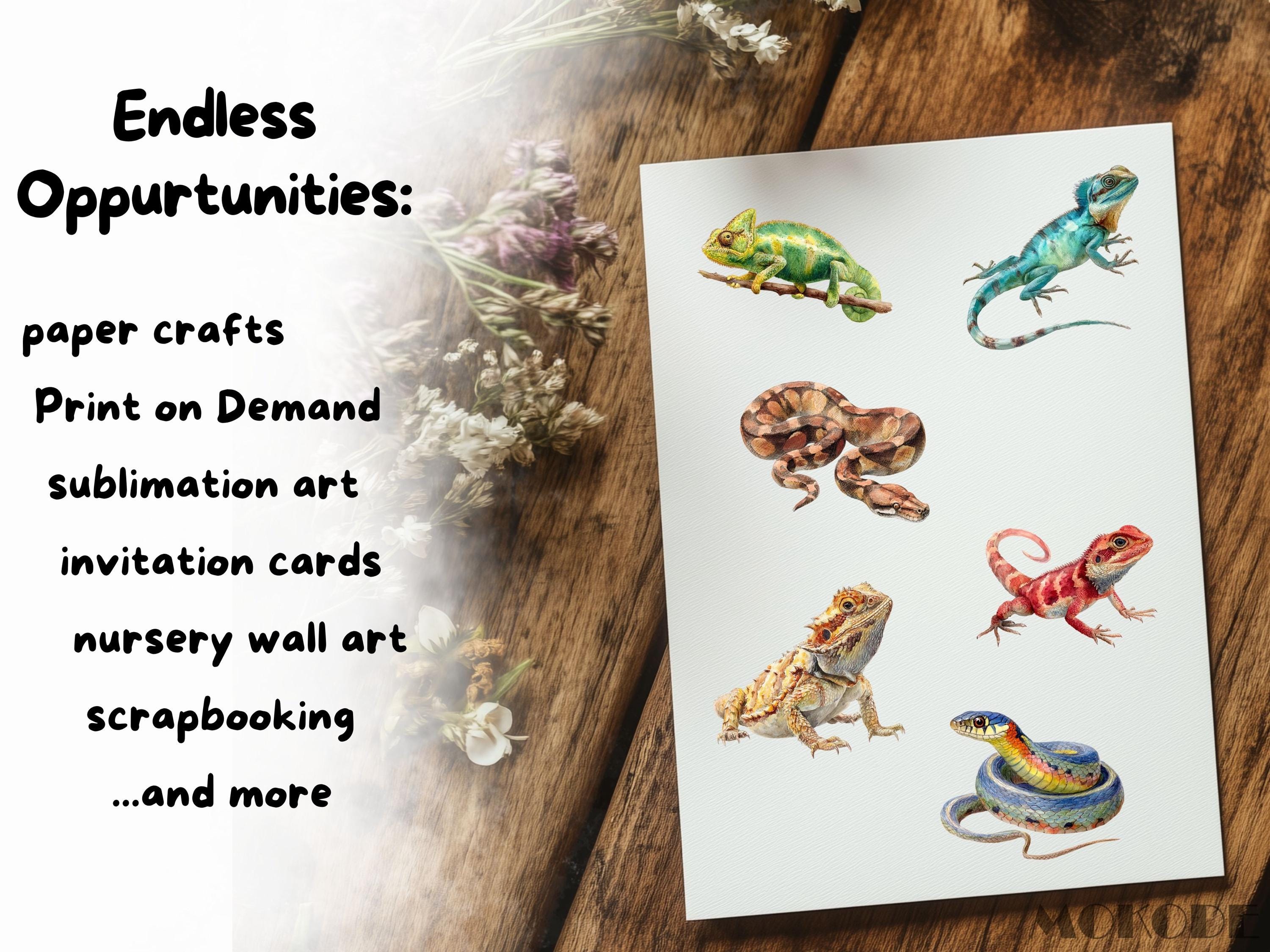 Watercolor Reptiles Clipart, Desert Animals Illustration (50 PNG) - Etsy