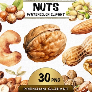 Watercolor Nuts Clipart, 30 Png, Peanut Graphics, Walnut, Hazelnut ...
