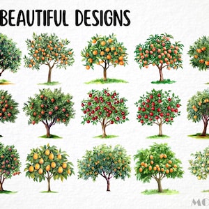 Watercolor Fruit Trees Clipart, Summer Garden PNG (digital Download) - Etsy