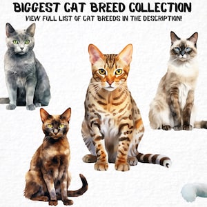 Cat Breed Clipart, Set of 101, Watercolor Cat Png, Popular Cat Breed ...