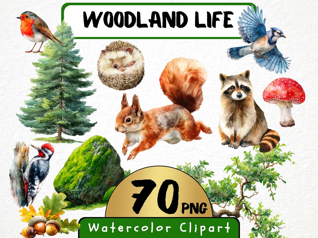 Woodland Life Clipart 70 Png, Watercolor Forest Animals Illustration ...