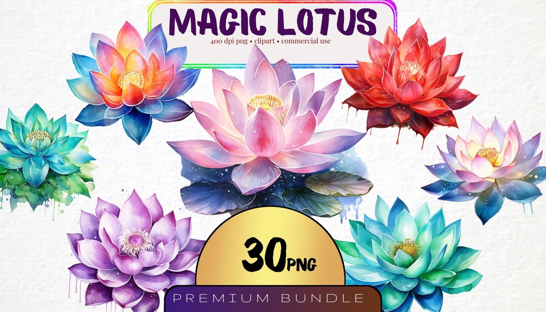 Magical Lotus Flower Clipart Colorful Lotus Graphics, Set of 30, Floral Png, Lotus Png, Flower ...