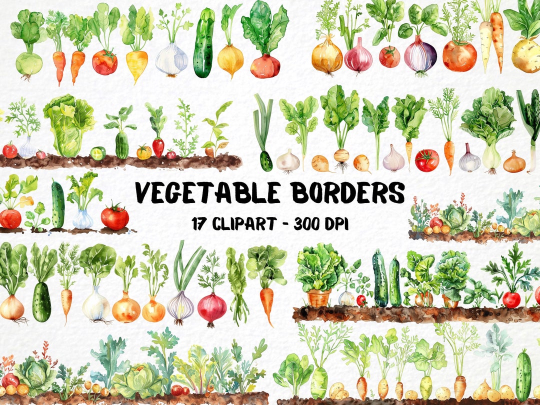 Watercolor Vegetable Borders 17 Png Clipart Bundle, DIY Food Graphics ...