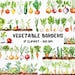 Fiery Borders Clipart Flame Graphics, Set of 17, Fire Illustrations ...