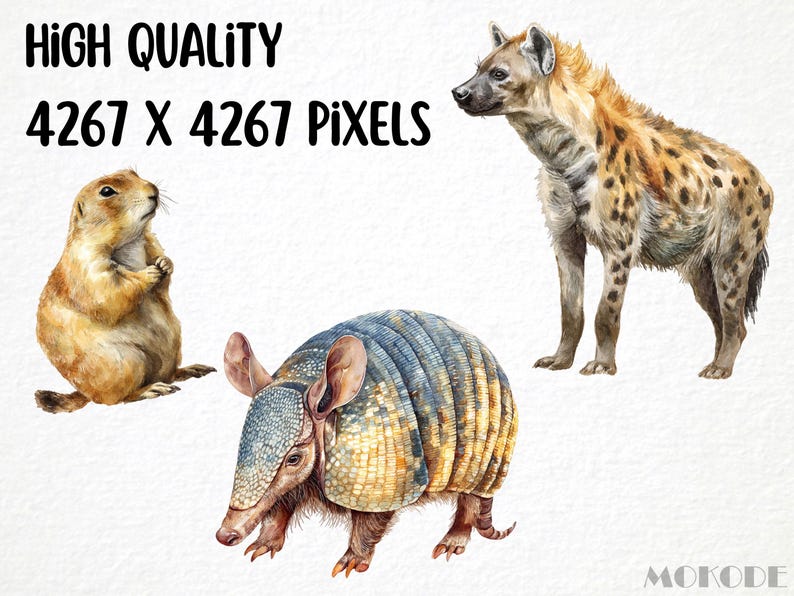 Watercolor Mammals Clipart 105 Png, Zoo Animals, Educational Africa ...