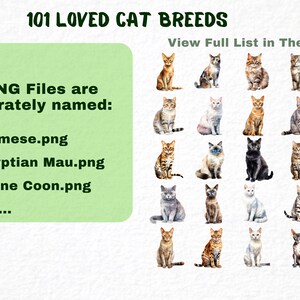 Cat Breed Clipart, Set of 101, Watercolor Cat Png, Popular Cat Breed ...