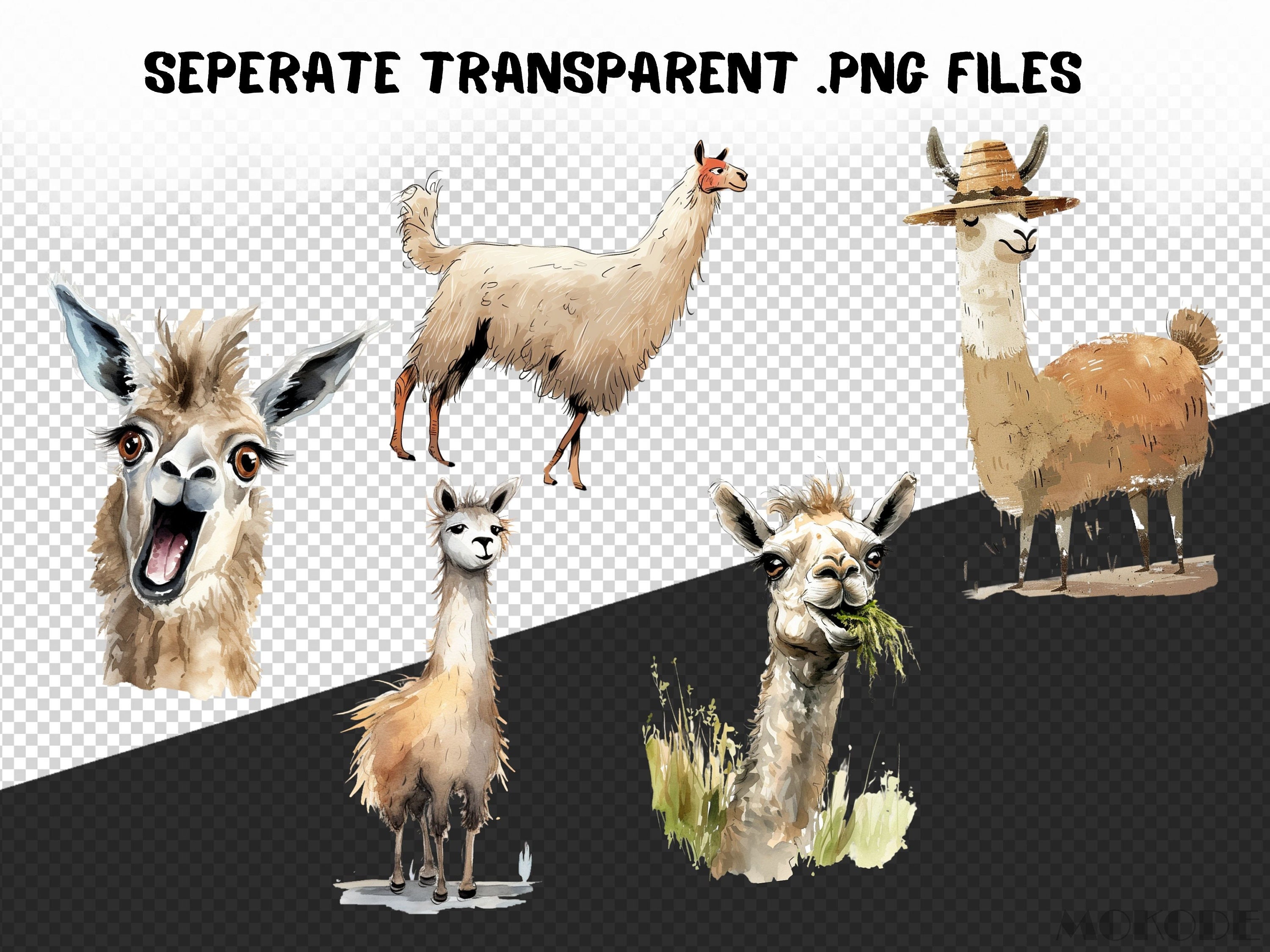 Funny Llama Watercolor Clipart, 32 PNG Caricature Alpaca (digital ...