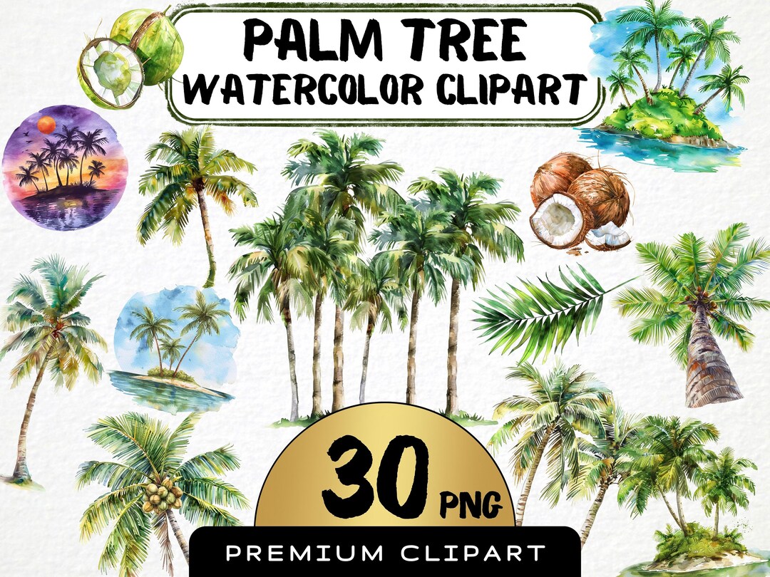 Watercolor Palm Tree Clipart 30 Png, Tropical Island, Palm Leaf, Summer ...