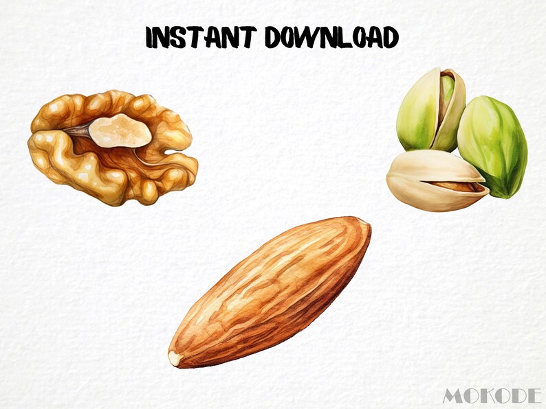 Watercolor Nuts Clipart, Food Art, Commercial Use (30 PNG) - Etsy