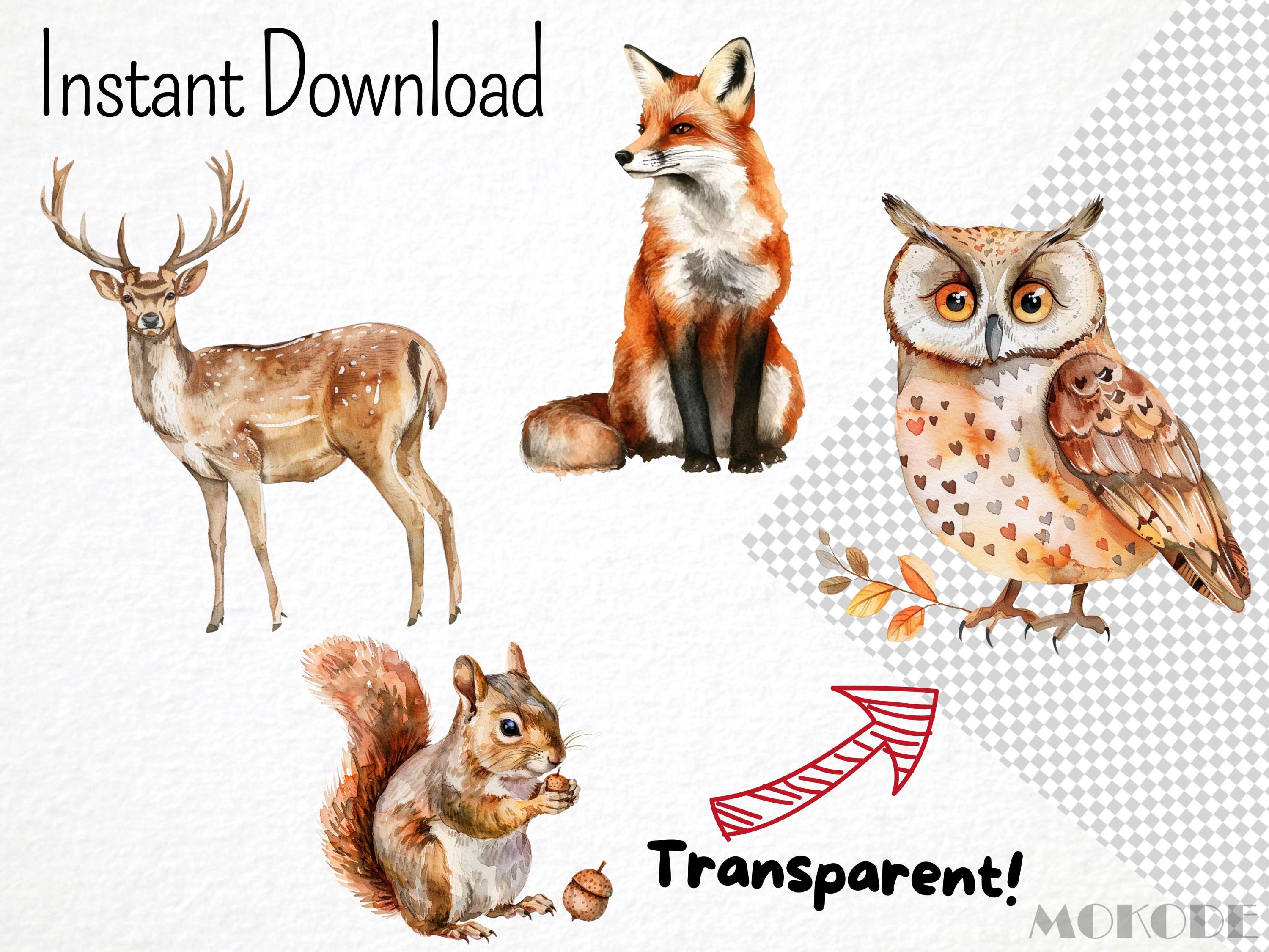 Watercolor Autumn Forest Clipart, Fall Animals, Leaves (44 PNG) - Etsy